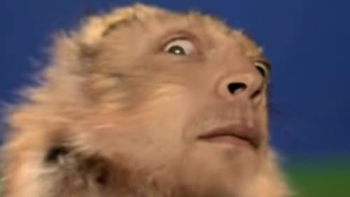 weezer-meme-video-jpg-photo-by-travgerds7-photobucket
